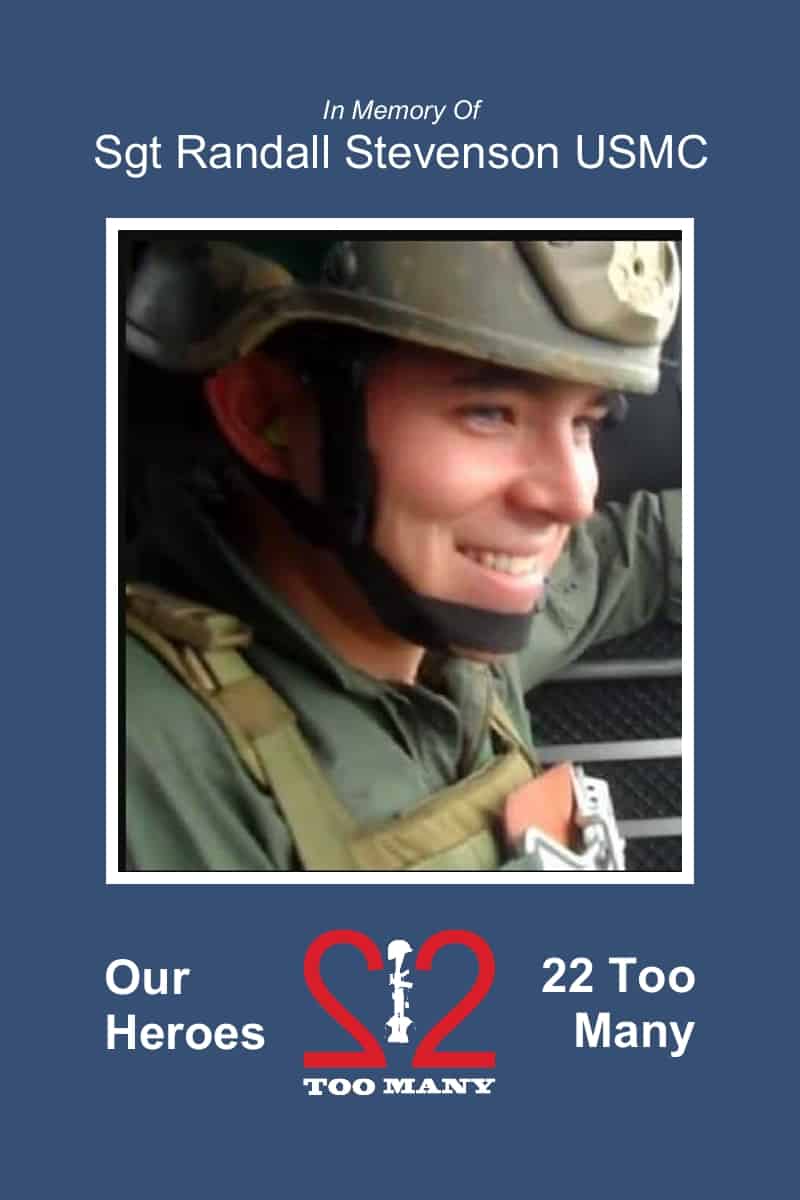 Randall Stevenson - 22 Too Many